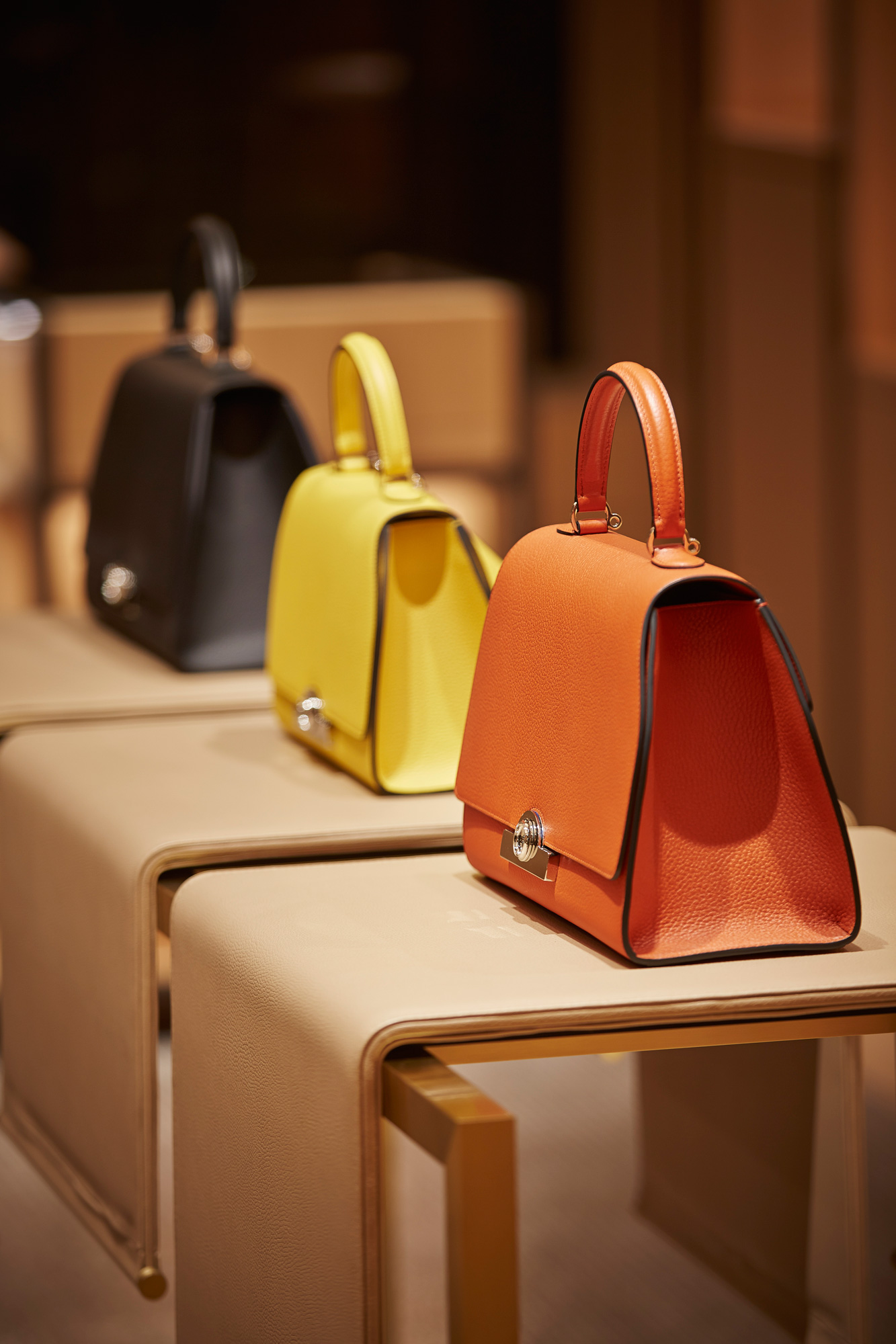 MOYNAT LONDON | CURIOSITY