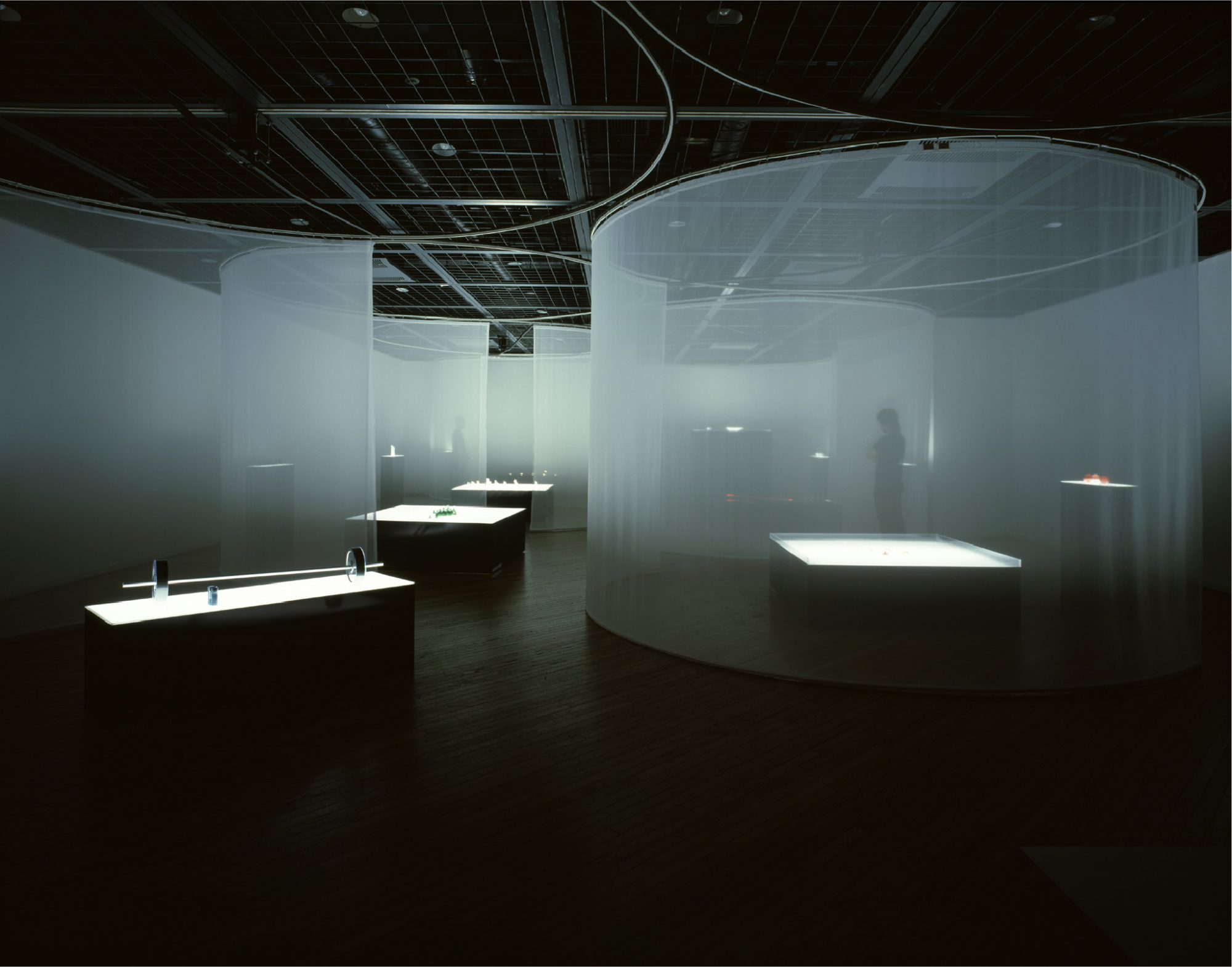 PERFUME X PERFORM | CURIOSITY