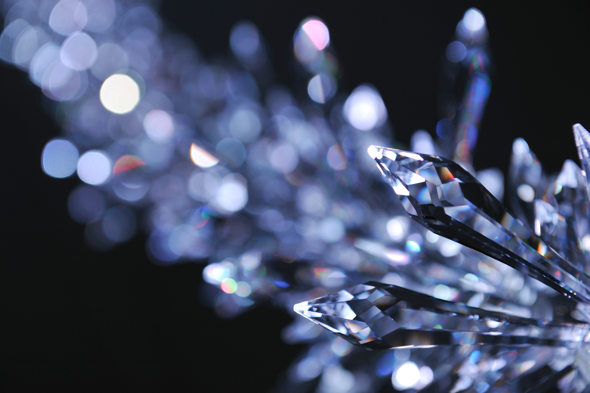 SWAROVSKI CRYSTAL PALACE 2008 SPARKS | CURIOSITY