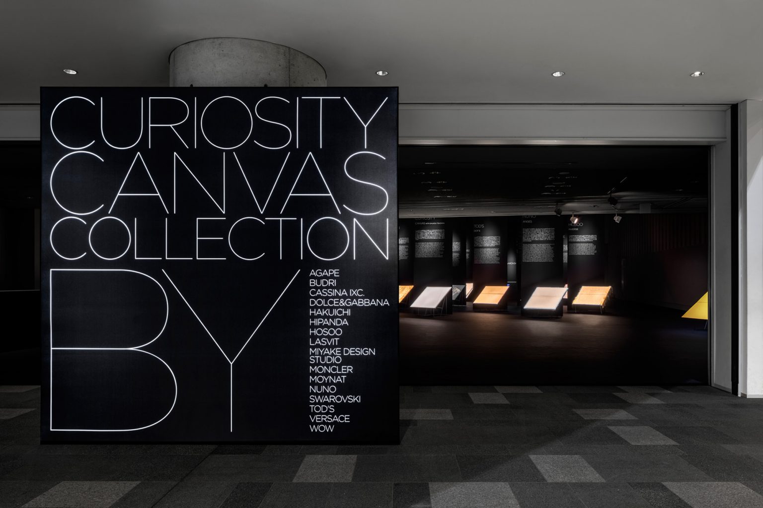 CURIOSITY CANVAS COLLECTION | CURIOSITY