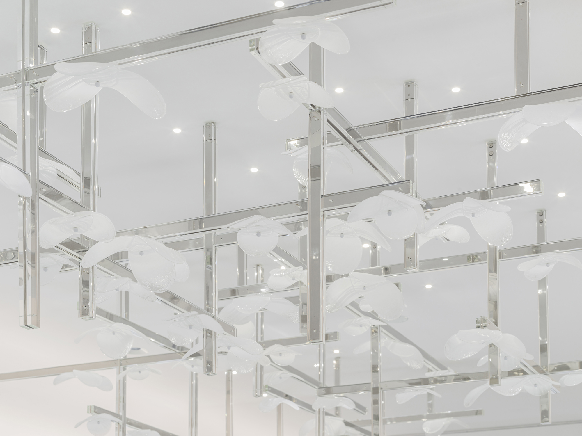 GRAFF CASINO DE MONTE-CARLO | CURIOSITY